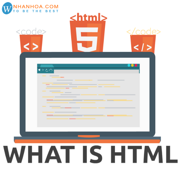 HTML là gì? Tại sao phải hiểu rõ vai trò quan trọng của HTML?