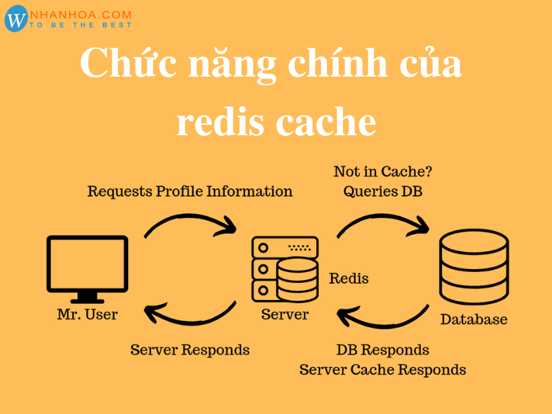 Redis cache là gì? Tất cả thông tin về redis cache