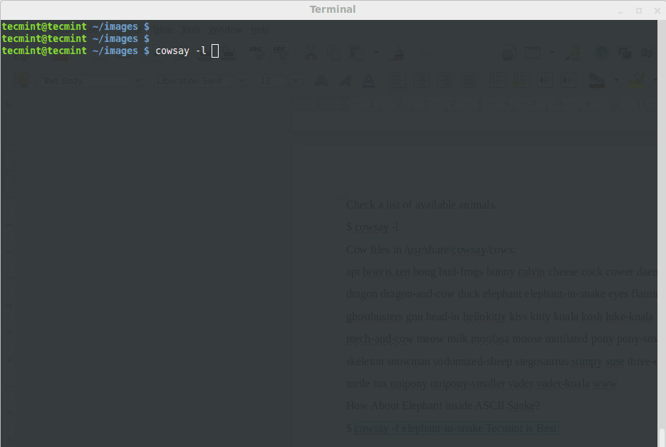 6 Lệnh Funny thú vị của Linux (Fun trong Terminal)