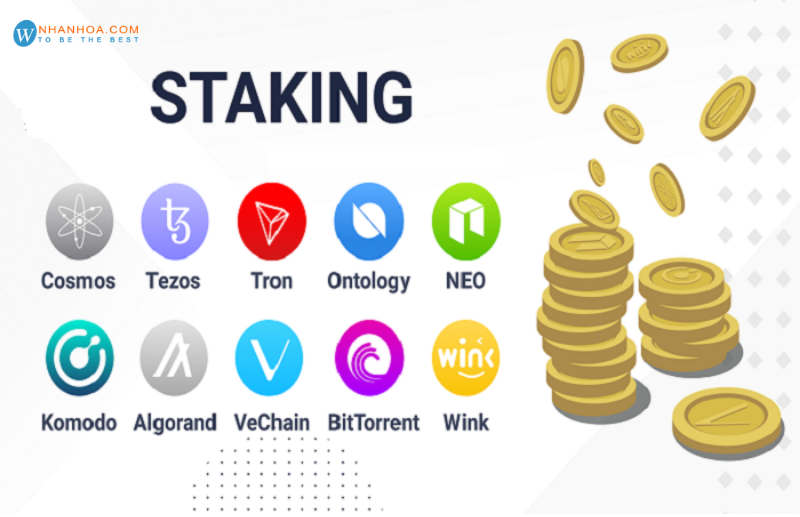 Staking coin là gì? Cách tối ưu hóa Staking Coin - [HƯỚNG DẪN]