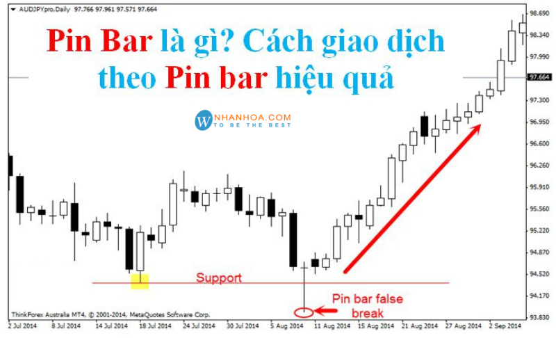 Hướng dẫn giao dịch với nến Pin Bar [HIỆU QUẢ] và [CHÍNH XÁC]